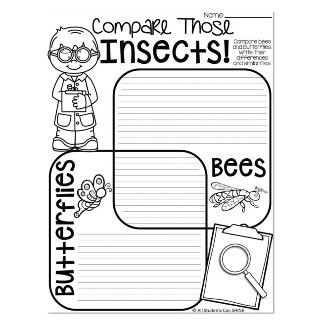Life Cycles Unit - Compare Those Insects - Lucky Little Learners