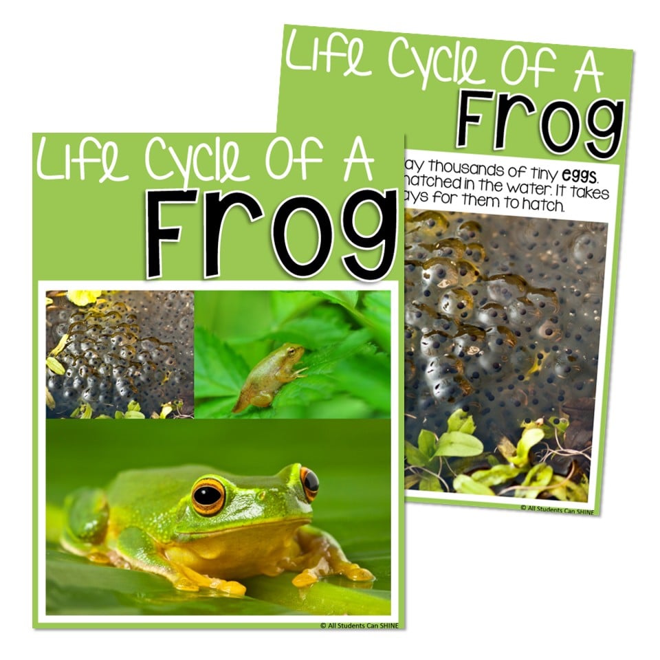 Life Cycles Unit - Frog Book - Lucky Little Learners