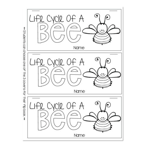 Life Cycles Unit - Interactive Notebook - Bee - Lucky Little Learners