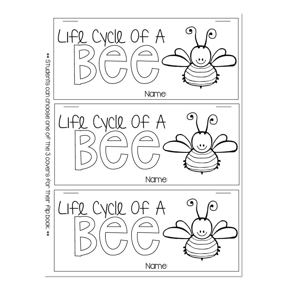 Life Cycles Unit - Interactive Notebook - Bee - Lucky Little Learners