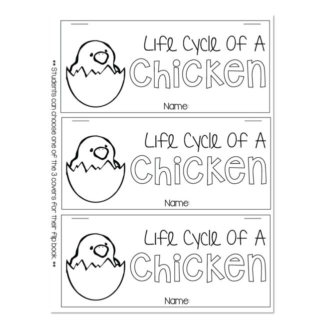 Life Cycles Unit - Interactive Notebook - Chicken - Lucky Little Learners