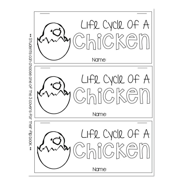 Life Cycles Unit - Interactive Notebook - Chicken - Lucky Little Learners
