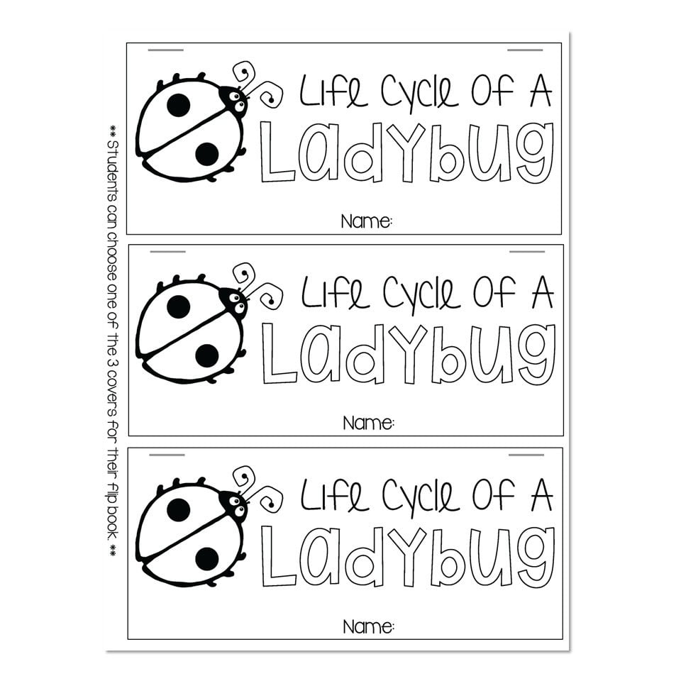 Life Cycles Unit - Interactive Notebook - Ladybug - Lucky Little Learners