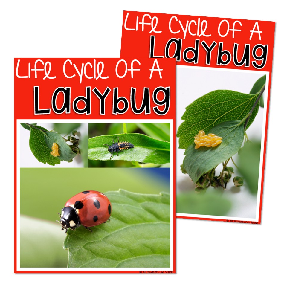 Life Cycles Unit - Ladybug Book - Lucky Little Learners