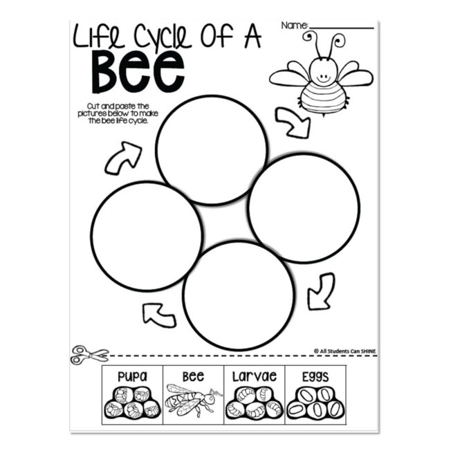 Life Cycles Unit - Life Cycle Cut and Paste - Lucky Little Learners