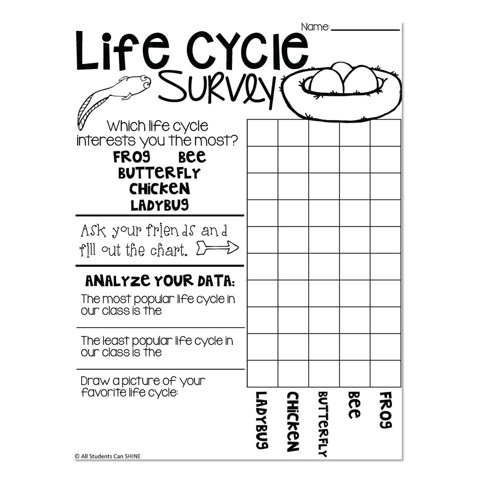 Life Cycles Unit - Life Cycle Survey - Lucky Little Learners