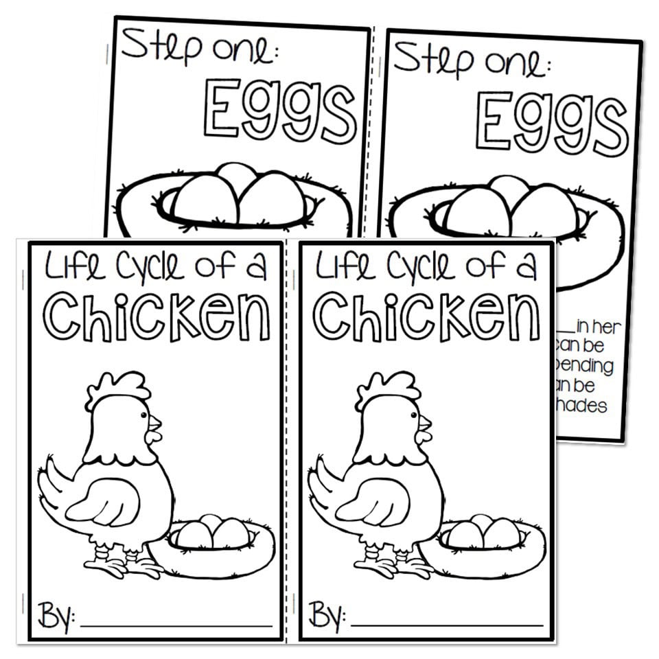 Life Cycles Unit - Mini Reader - Chicken - Lucky Little Learners
