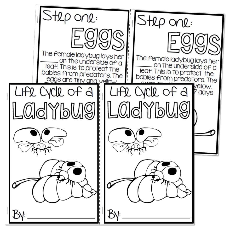 Life Cycles Unit - Mini Reader - Ladybug - Lucky Little Learners