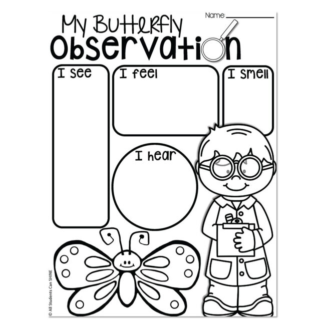 Life Cycles Unit - Observation Worksheets - Lucky Little Learners