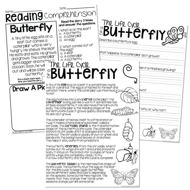 Life Cycles Unit - Reading Comprehension - Butterfly - Lucky Little ...