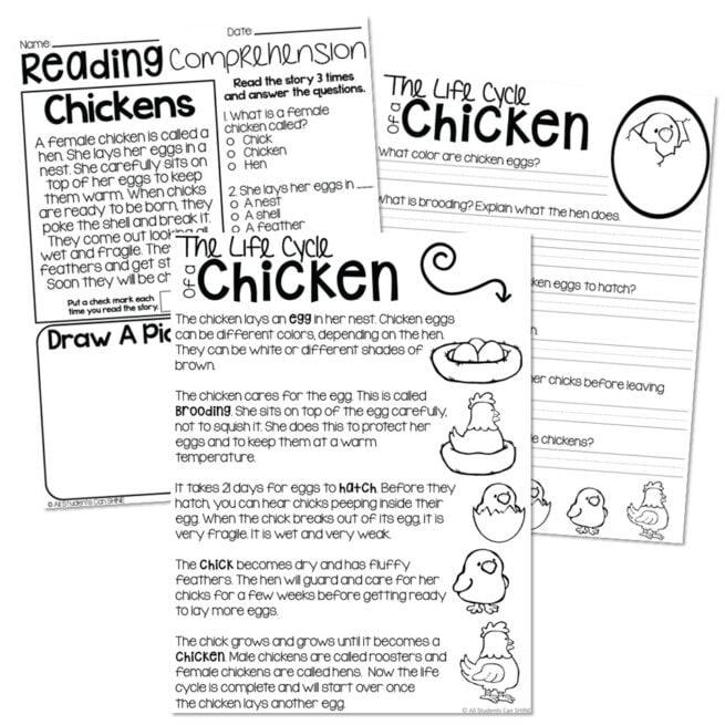 Life Cycles Unit - Reading Comprehension - Chicken - Lucky Little Learners