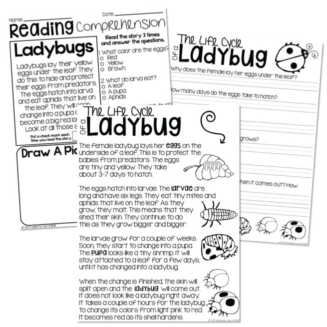 Life Cycles Unit - Reading Comprehension - Ladybug - Lucky Little Learners
