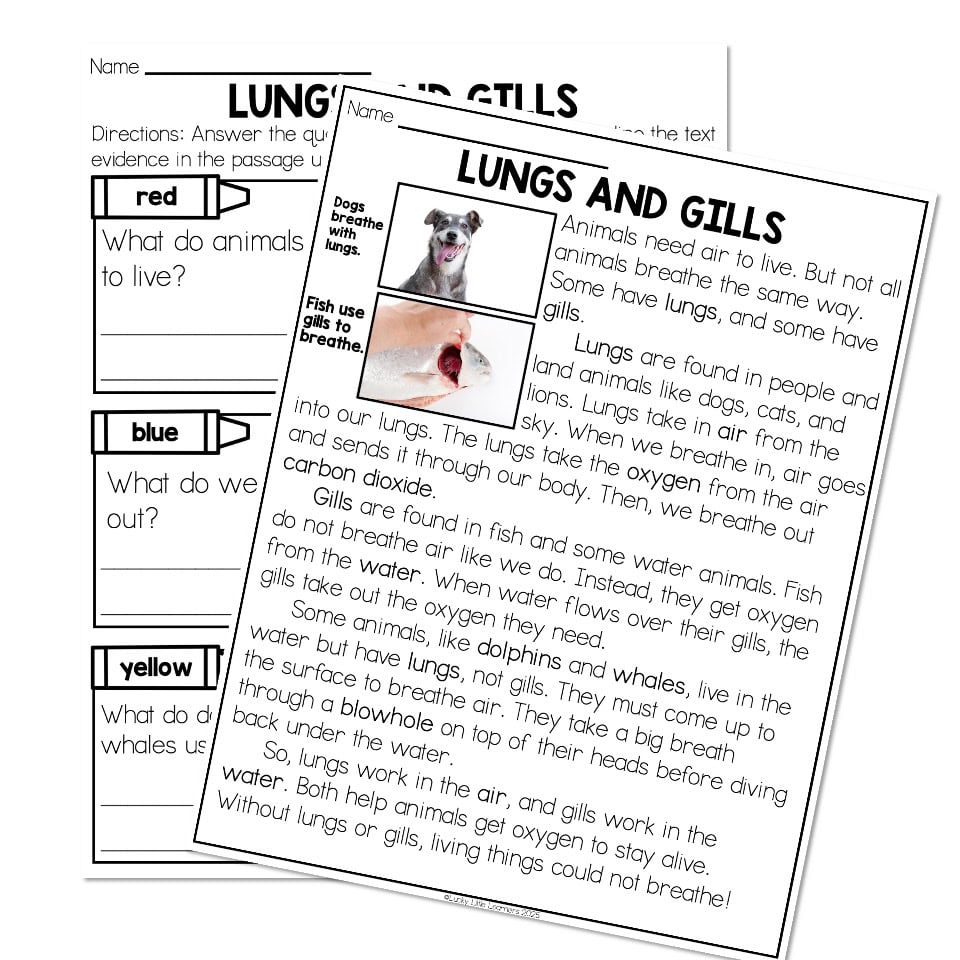 Reading Passage - Nonfiction Text Evidence - Lungs and Gills - Lucky ...