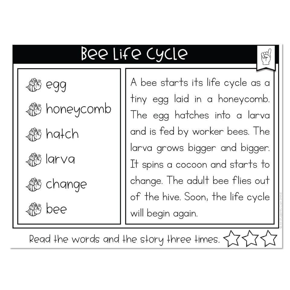 Life Cycle Full Page Readers - Bee - Lucky Little Learners