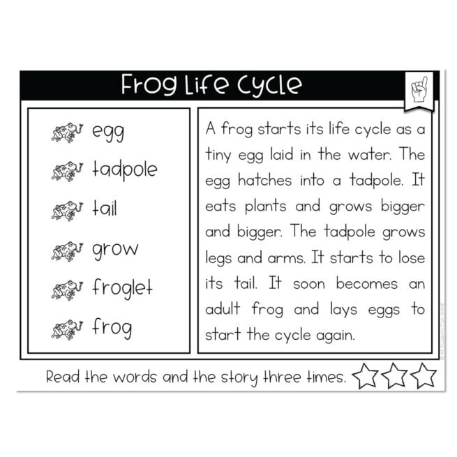 Life Cycle Full Page Readers - Frog - Lucky Little Learners