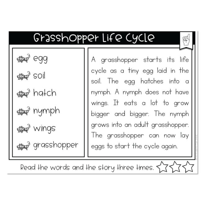 Life Cycle Full Page Readers - Grasshopper - Lucky Little Learners