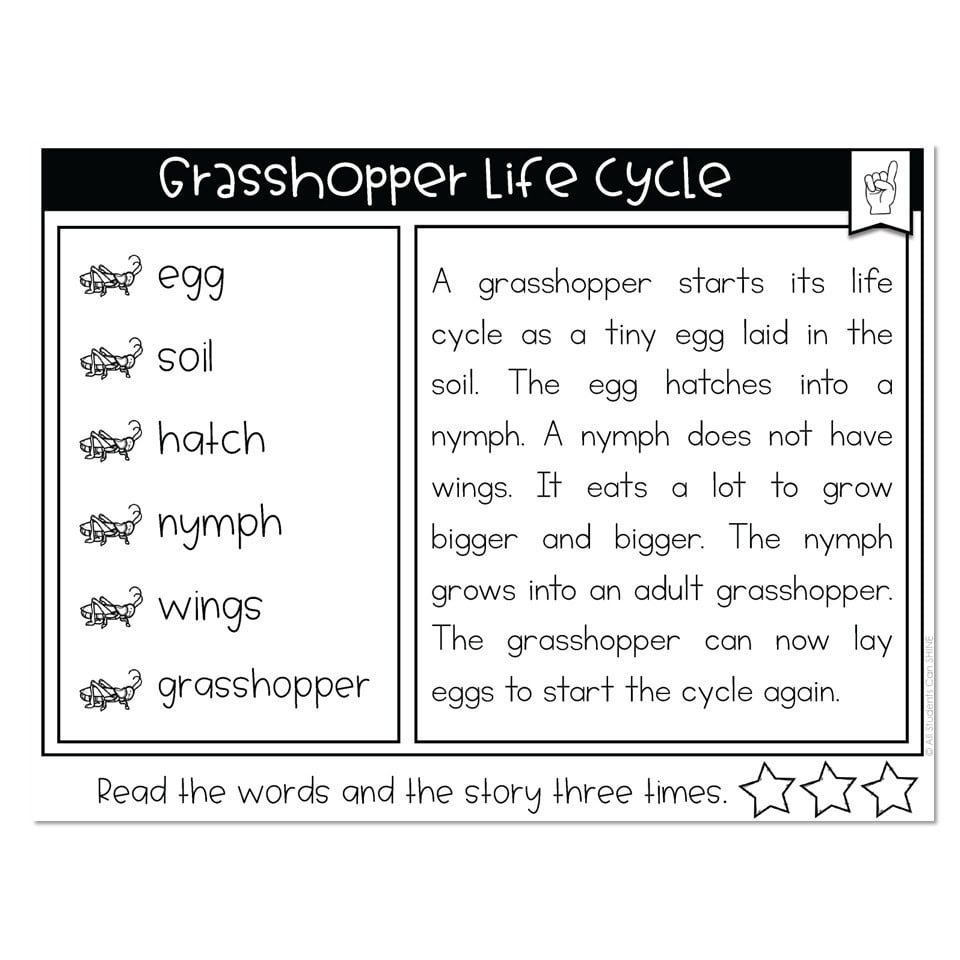Life Cycle Full Page Readers - Grasshopper - Lucky Little Learners