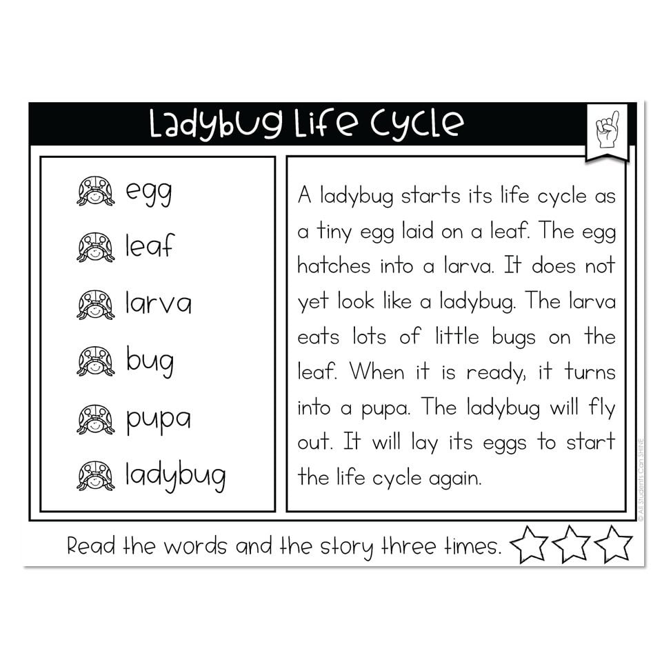 Life Cycle Full Page Readers - Ladybug - Lucky Little Learners