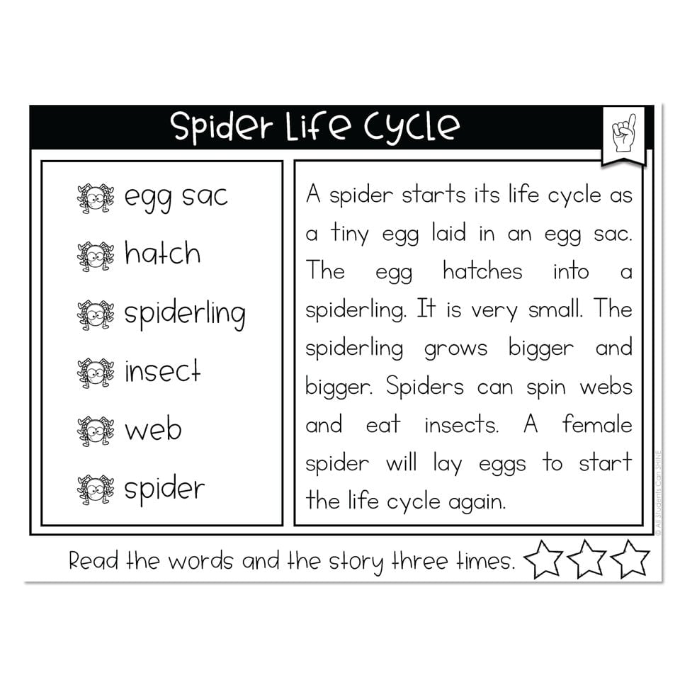 Life Cycle Full Page Readers - Spider - Lucky Little Learners
