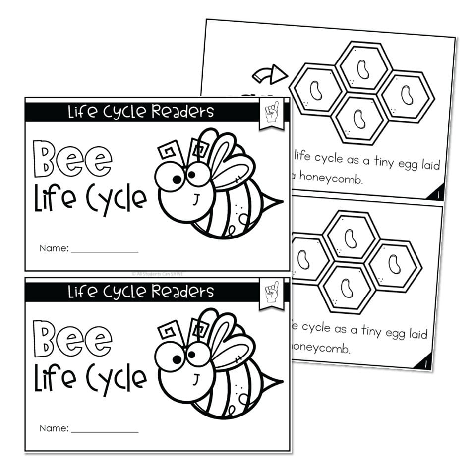 Life Cycle Mini Readers - Bee - Lucky Little Learners