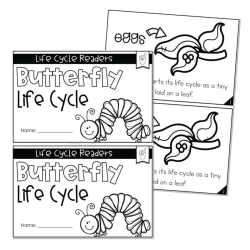 Life Cycle Mini Readers - Butterfly - Lucky Little Learners
