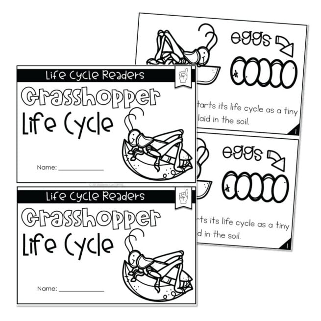 Life Cycle Mini Readers - Grasshopper - Lucky Little Learners