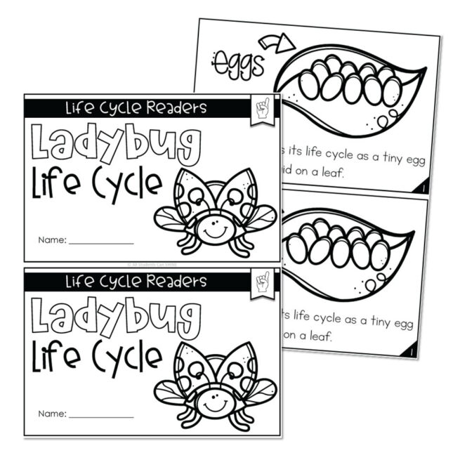 Life Cycle Mini Readers - Ladybug - Lucky Little Learners