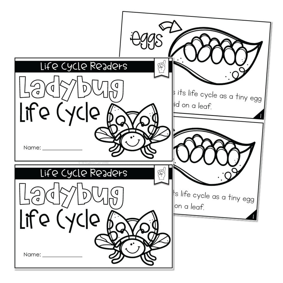 Life Cycle Mini Readers - Ladybug - Lucky Little Learners