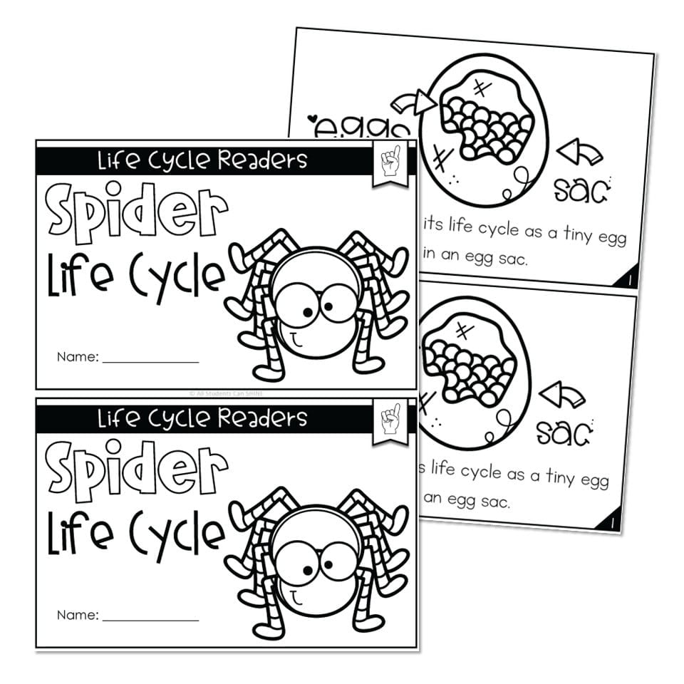 Life Cycle Mini Readers - Spider - Lucky Little Learners