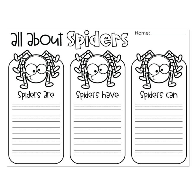 Life Cycle Writing - Are Have Can - Spider - Lucky Little Learners
