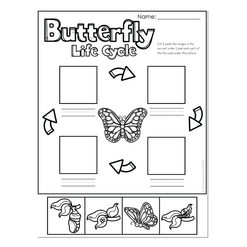 Life Cycle Writing - Cut and Paste - Butterfly - Lucky Little Learners