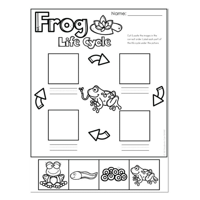 Life Cycle Writing - Cut and Paste - Frog - Lucky Little Learners