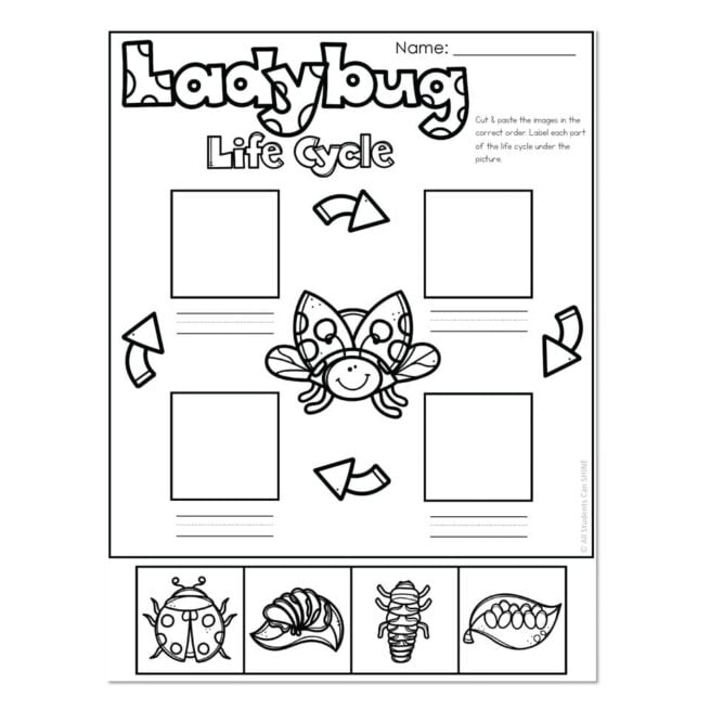 Life Cycle Writing - Cut and Paste - Ladybug - Lucky Little Learners