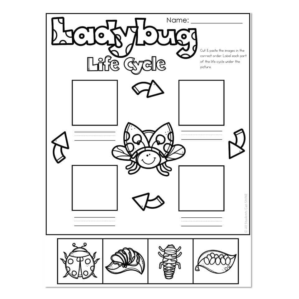 Life Cycle Writing - Cut and Paste - Ladybug - Lucky Little Learners