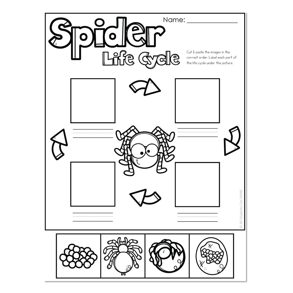 Life Cycle Writing - Cut and Paste - Spider - Lucky Little Learners