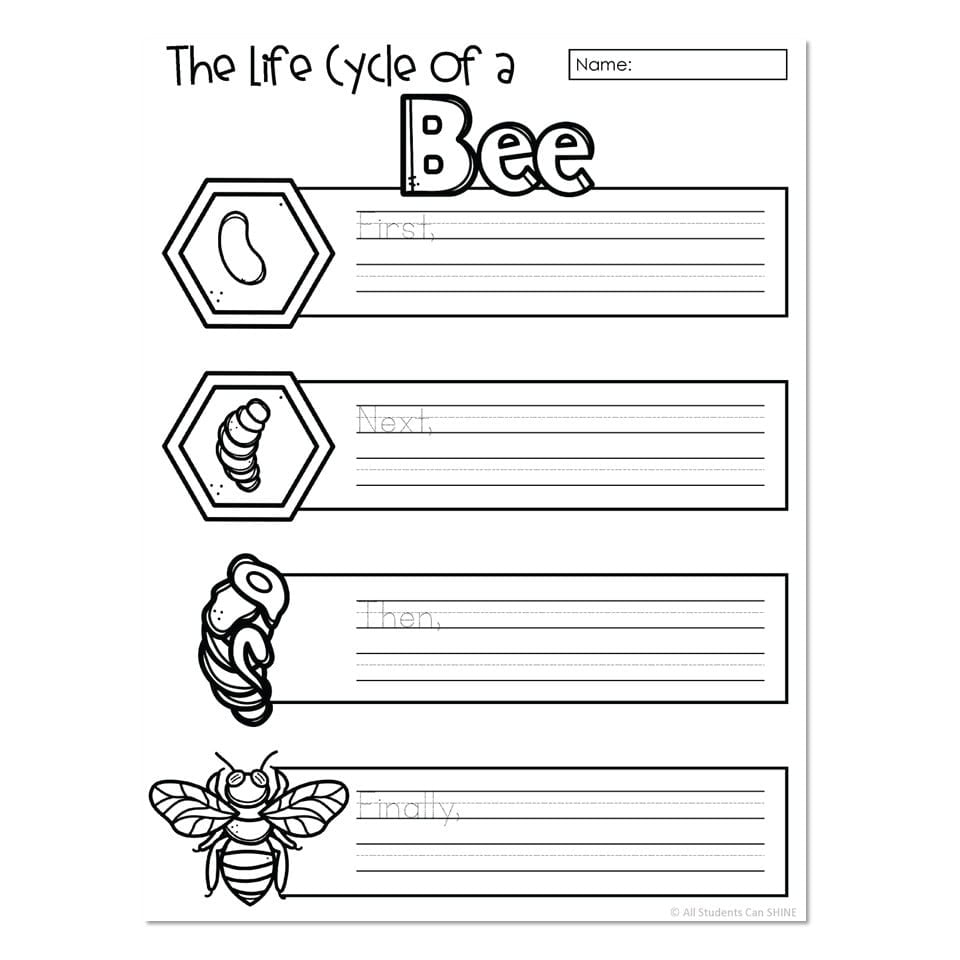 Life Cycle Writing - Sequencing - Bee - Lucky Little Learners