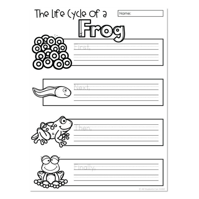 Life Cycle Writing - Sequencing - Frog - Lucky Little Learners