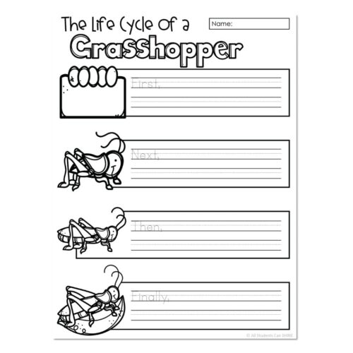 Life Cycle Writing - Sequencing - Grasshopper - Lucky Little Learners