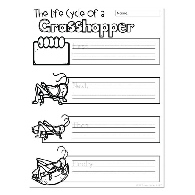 Life Cycle Writing - Sequencing - Grasshopper - Lucky Little Learners