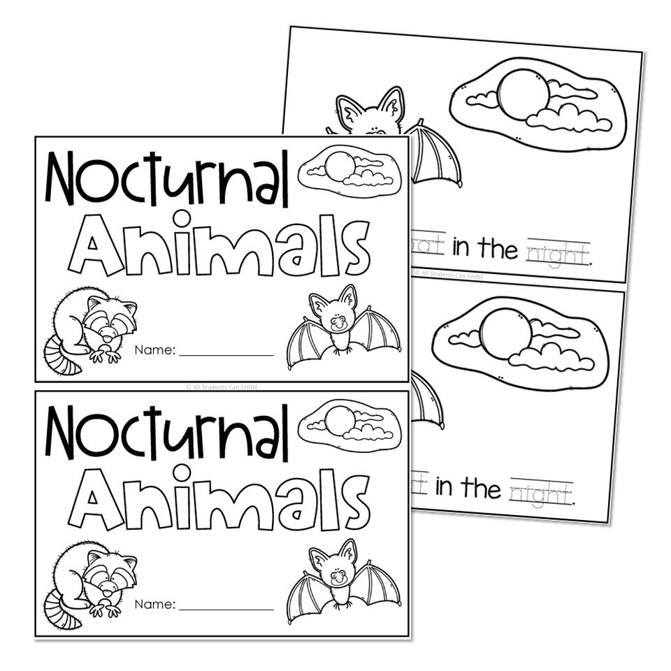 Monthly Themed Writing - November - Nocturnal Animals Mini Reader ...