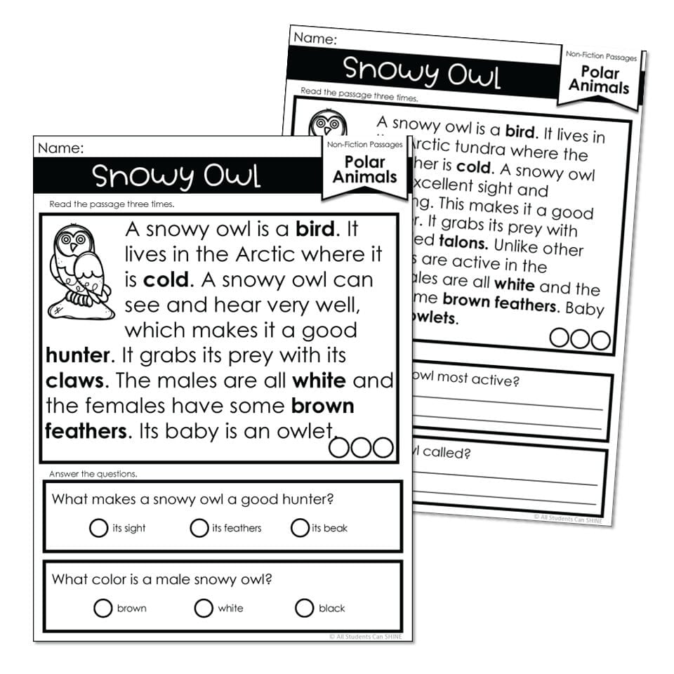 Non-Fiction Reading Passages - Polar Animals - Snowy Owl - Lucky Little ...