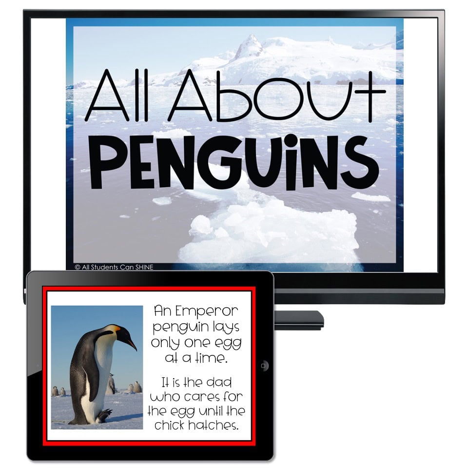 Penguins Unit - All About Penguins - Slides and Facts - Lucky Little ...