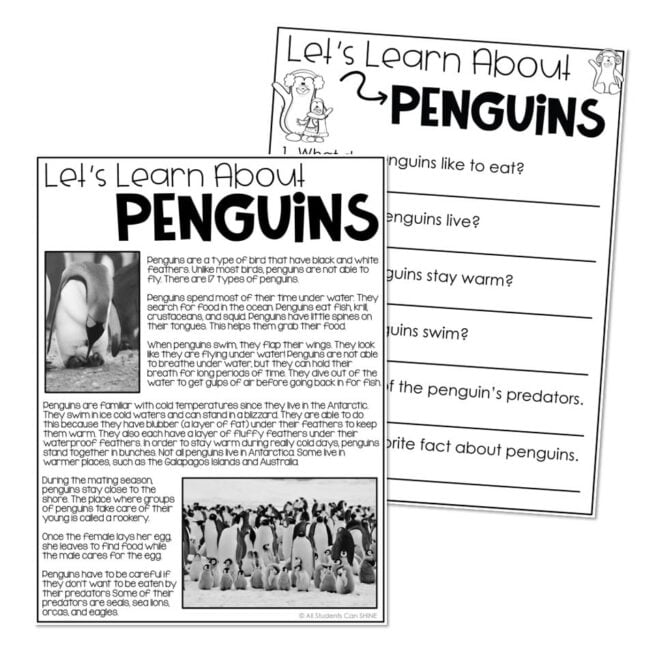 Penguins Unit - Let's Learn About Penguins - Passage and Questions ...