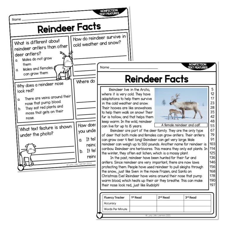 2nd Grade Reading Comprehension Passage - Nonfiction Text Features ...