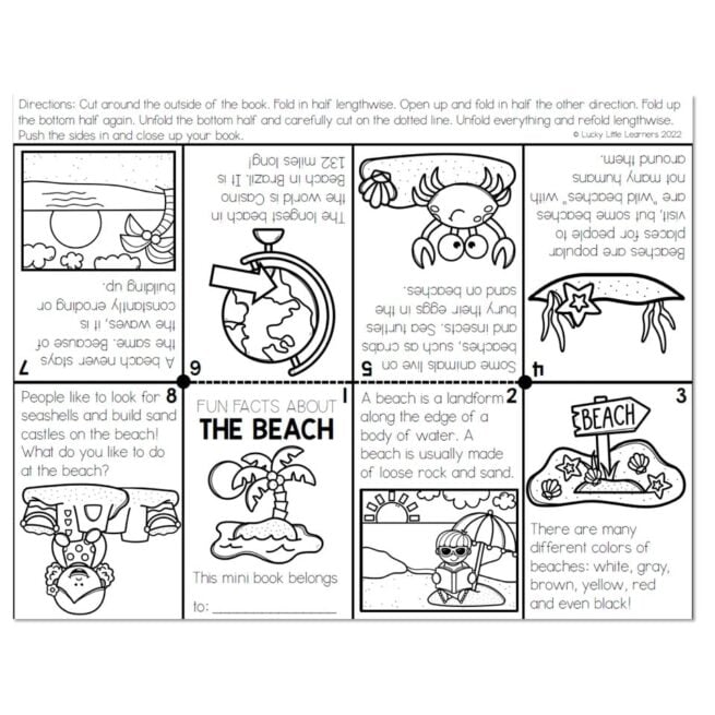 Classroom Transformation - Beach Day - Fun Facts About the Beach Mini ...