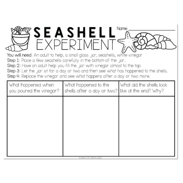 Classroom Transformation - Beach Day - Seashell Experiment - Lucky ...