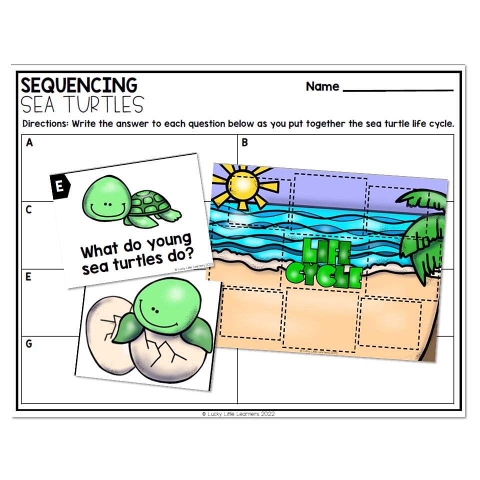 Classroom Transformation - Beach Day - Sequencing - Sea Turtles - Lucky ...