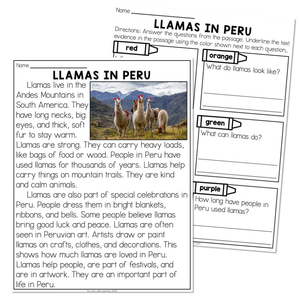 Country Study - Peru - Reading Passage - Llamas in Peru - Lucky Little ...
