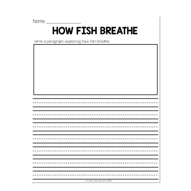 How Fish Breathe Writing Prompt - Lucky Little Learners