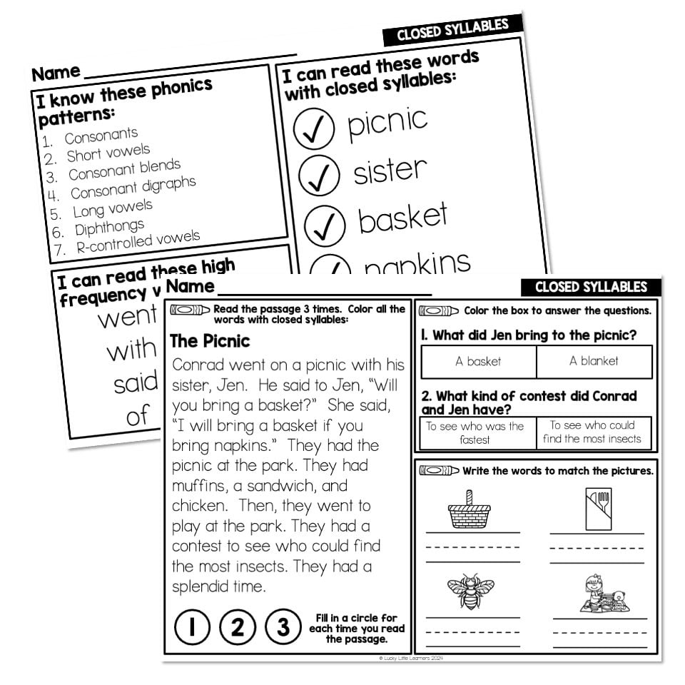 Lucky to Learn Phonics - Syllables - Closed Syllables - 1st Grade ...